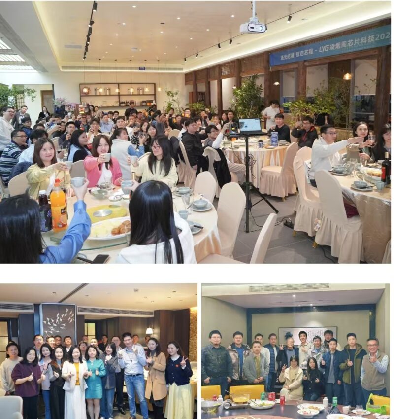 凌烟阁2025春茗：扎根横琴，践行ESG，共筑芯未来 - LYG-SEMI